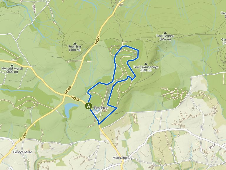 Pantmaenog Forest and Rosebush Quarry loop — Parc Cenedlaethol Arfordir ...